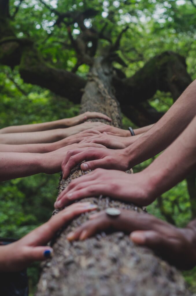 The power to influence people - www.yourtimetogrow.com